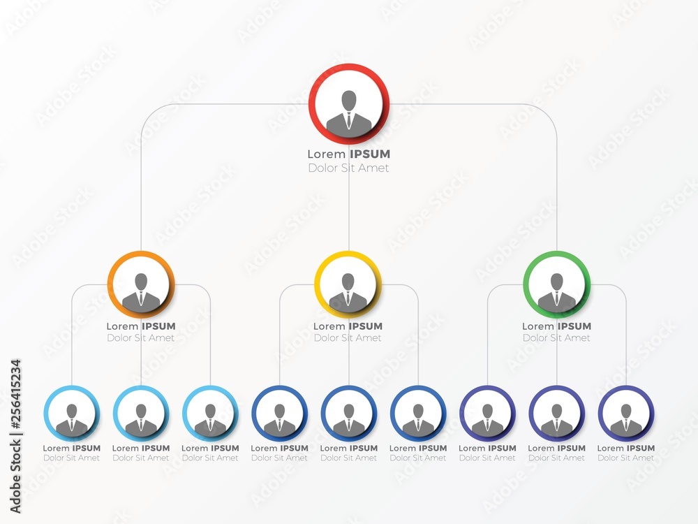 organizational structure of the company. business hierarchy infographic ...