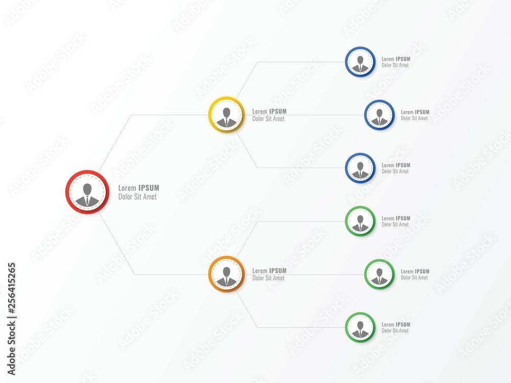 organizational structure of the company. business hierarchy round ...