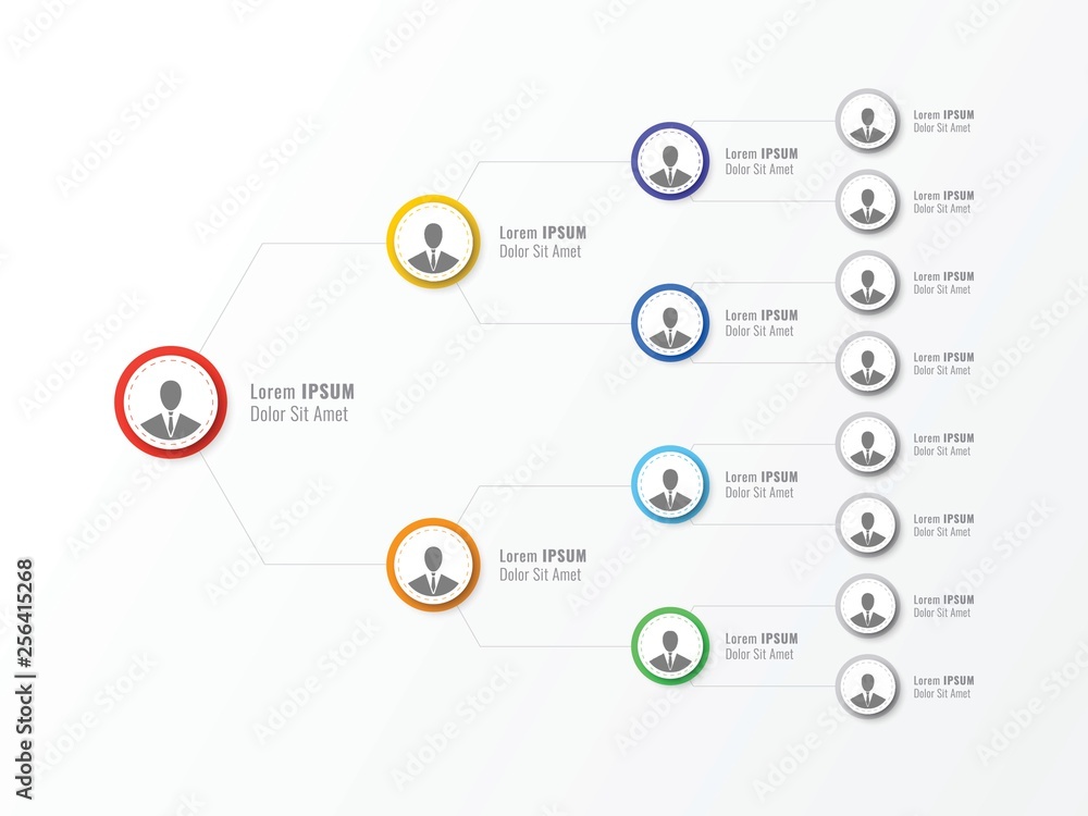 organizational structure of the company. business hierarchy round ...