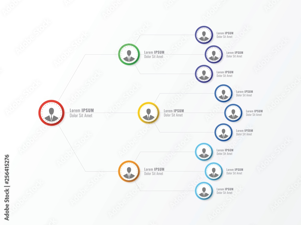 organizational structure of the company. business hierarchy round ...