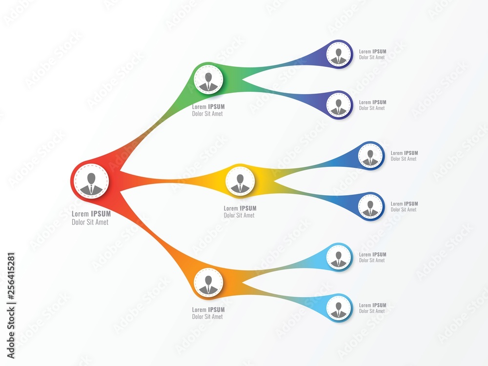 organizational structure of the company. business hierarchy infographic ...