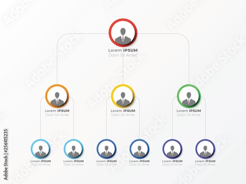 organizational structure of the company. business hierarchy infographic ...