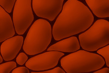 Seamless Red Rock Stone Background Free Stock Photo - Public Domain ...