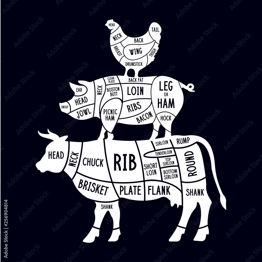 Meat cuts set. Diagrams for butcher shop. Scheme of chicken, beef, pork ...