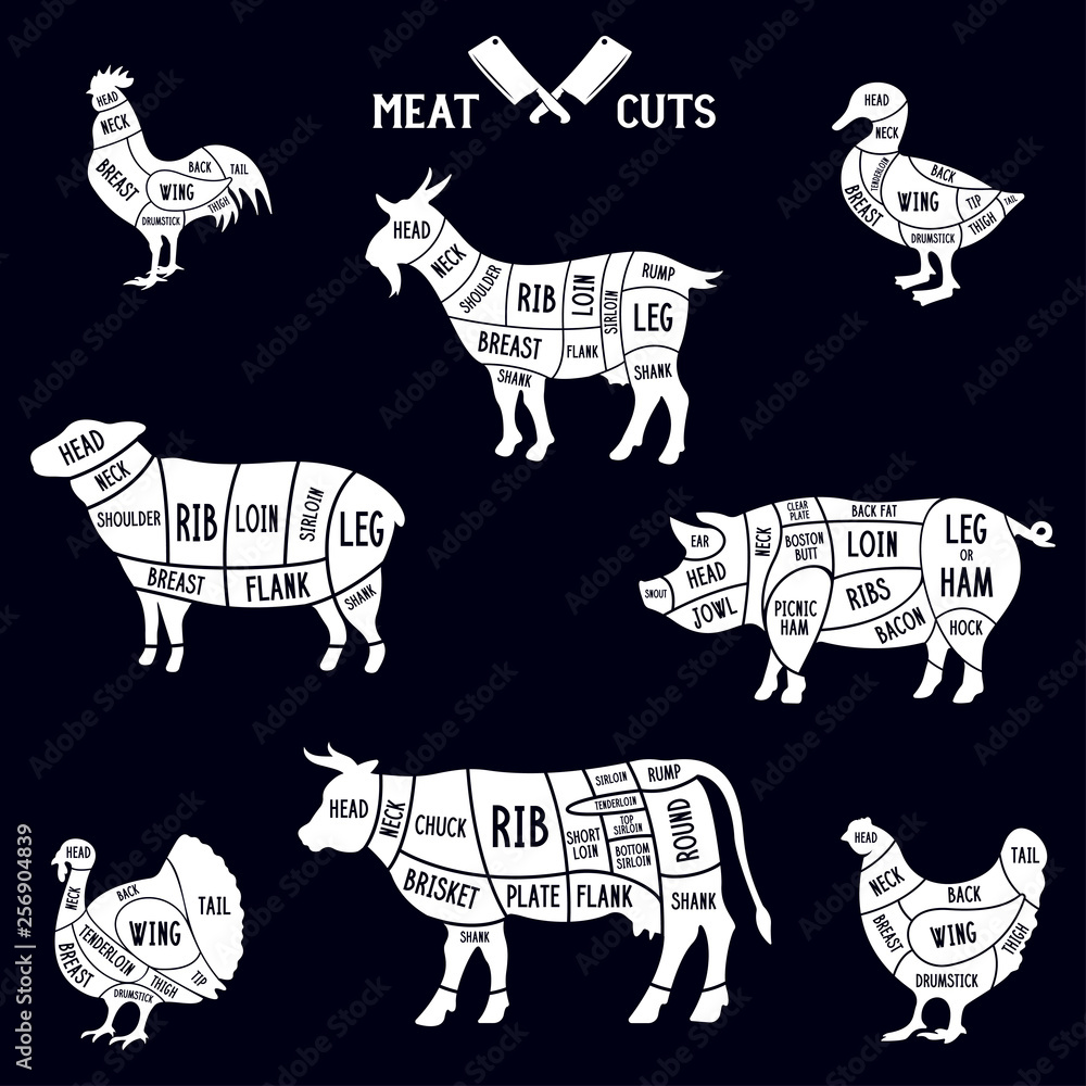Meat cuts set. Diagrams for butcher shop. Scheme of chicken, beef, pork ...