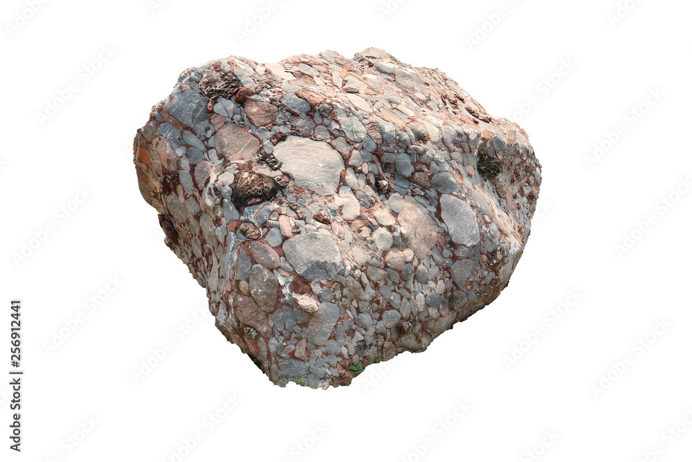 Photo Stock Natural specimen of conglomerate - sedimentary rock ...
