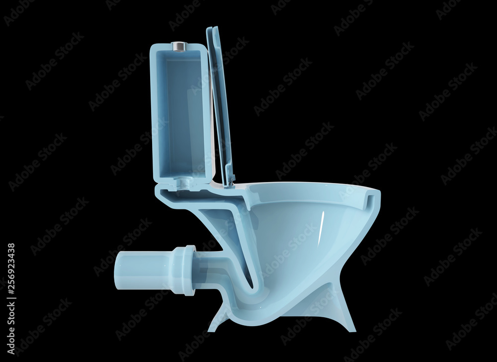 The cross-section structure of the toilet (the system). Blue color. The ...