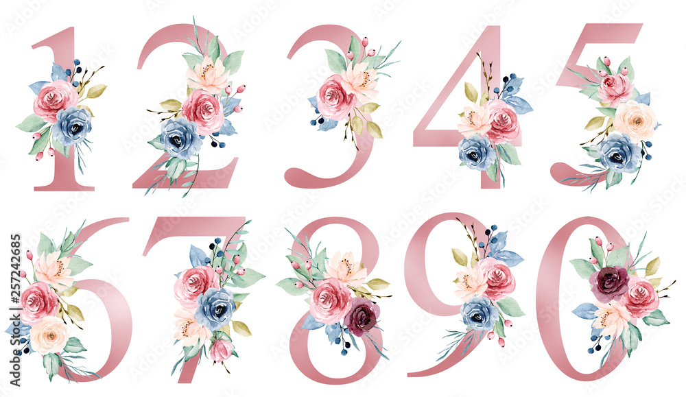Number set with watercolor flowers roses and leaf. Perfectly for ...