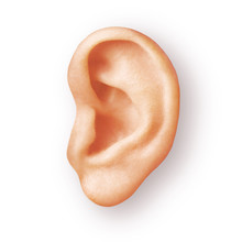 Human Ear Free Stock Photo - Public Domain Pictures