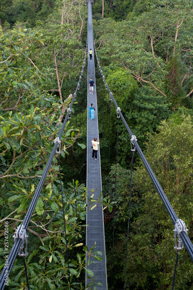 Hikers make their way across The Tree Top Walk, a 250m long steel ...