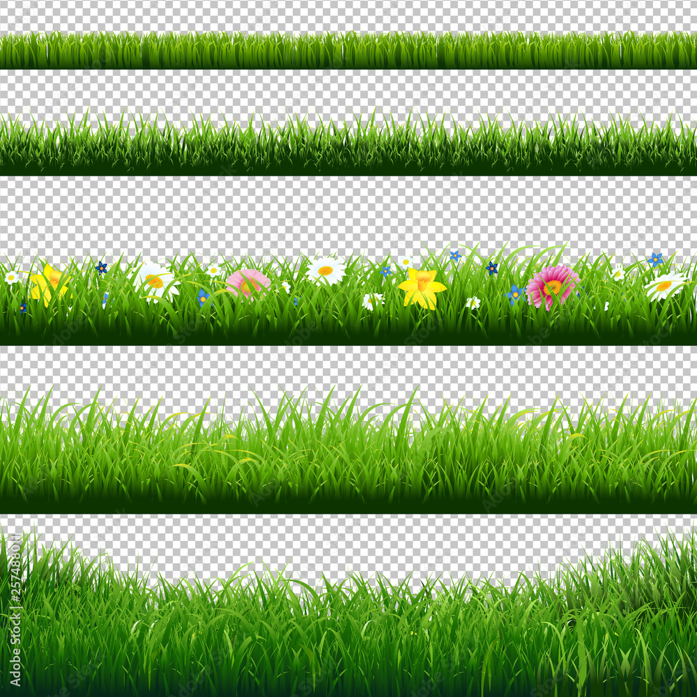 Grass Borders Set Transparent Background. Stock Vector | Adobe Stock