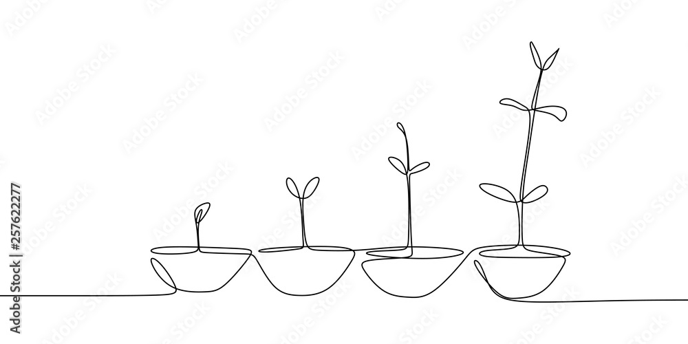 continuous line drawing of plant growth processes. Stock Vector | Adobe ...