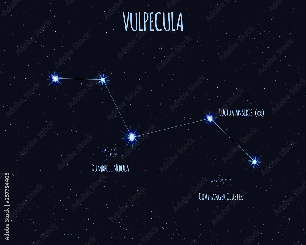 Vulpecula (The Fox) constellation, vector illustration with the names of basic stars against the ...