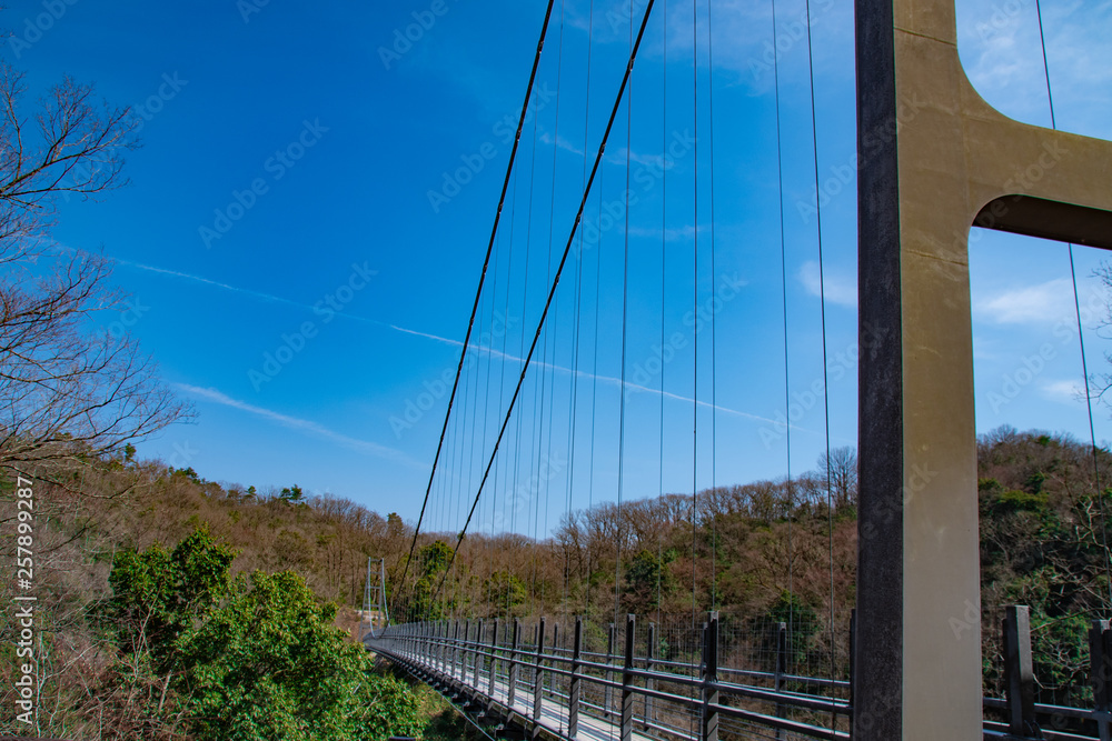 鬼の舌震 恋吊橋 The suspension bridge called "Koi-Tsuribashi" at Oni-no ...