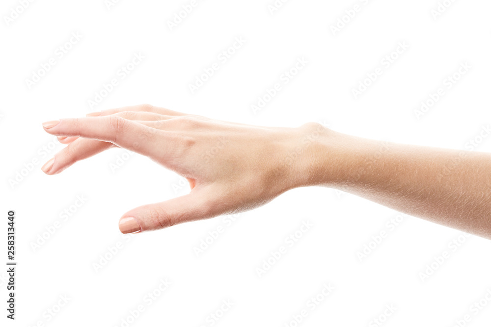 Female hand isolated on white background. White woman's hand showing ...