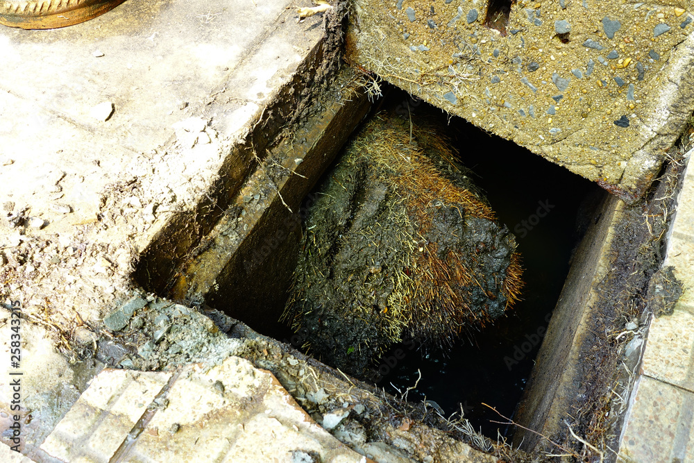 Blocked drainage pipe caused by ingress of tree roots Stock Photo ...