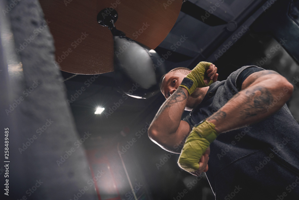 Let's get ready to rumble. Arm workout, professional young boxer with ...