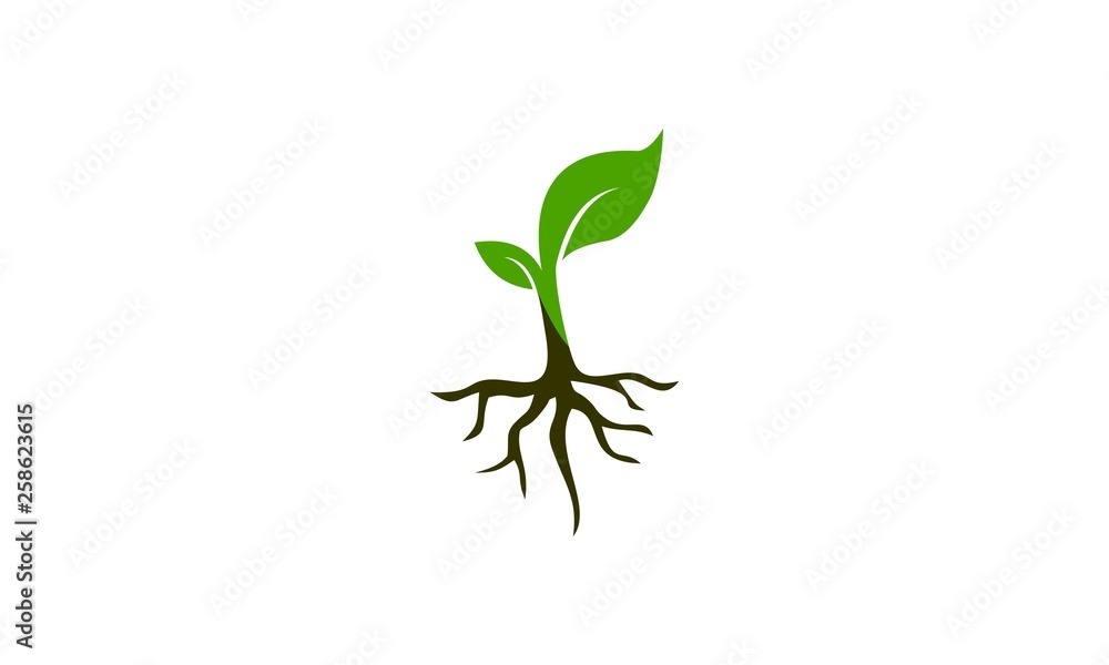 seed plant design logo Stock Vector | Adobe Stock