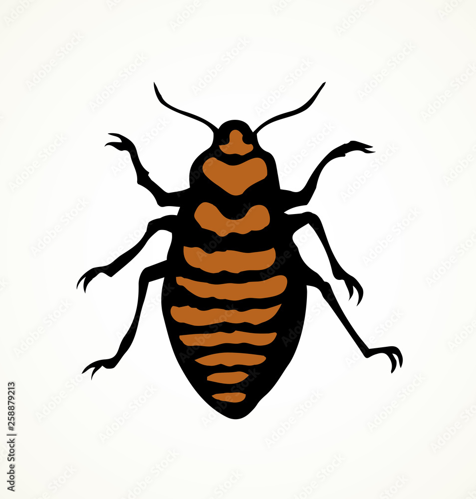 Beetle. Larva. Vector drawing Stock Vector | Adobe Stock