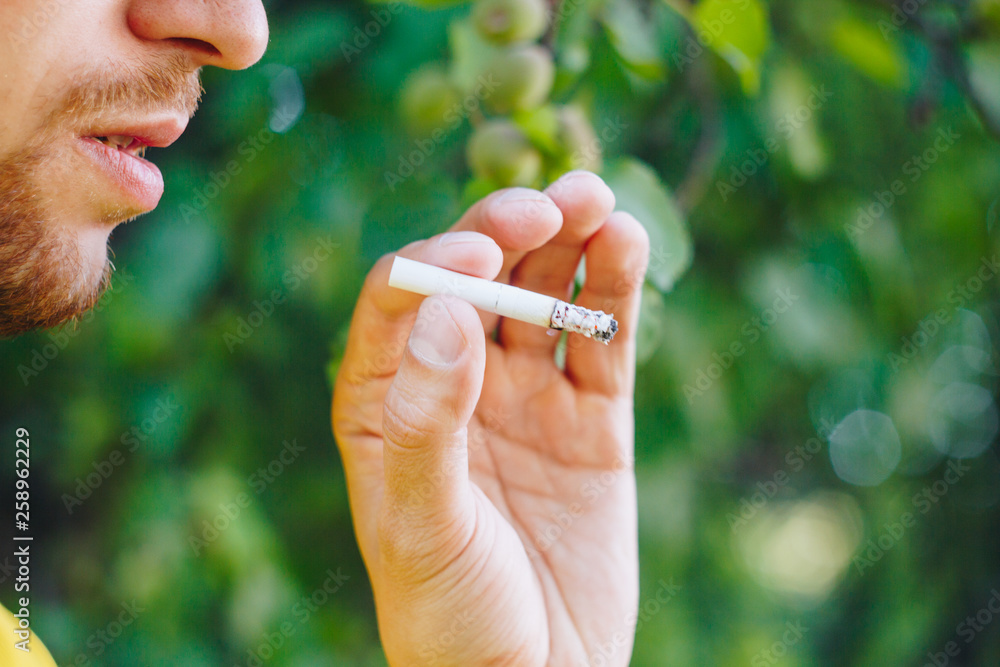 smoldering cigarette in the hand of a man with a beard on nature ...