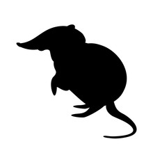 Shrew Silhouette Free Stock Photo - Public Domain Pictures