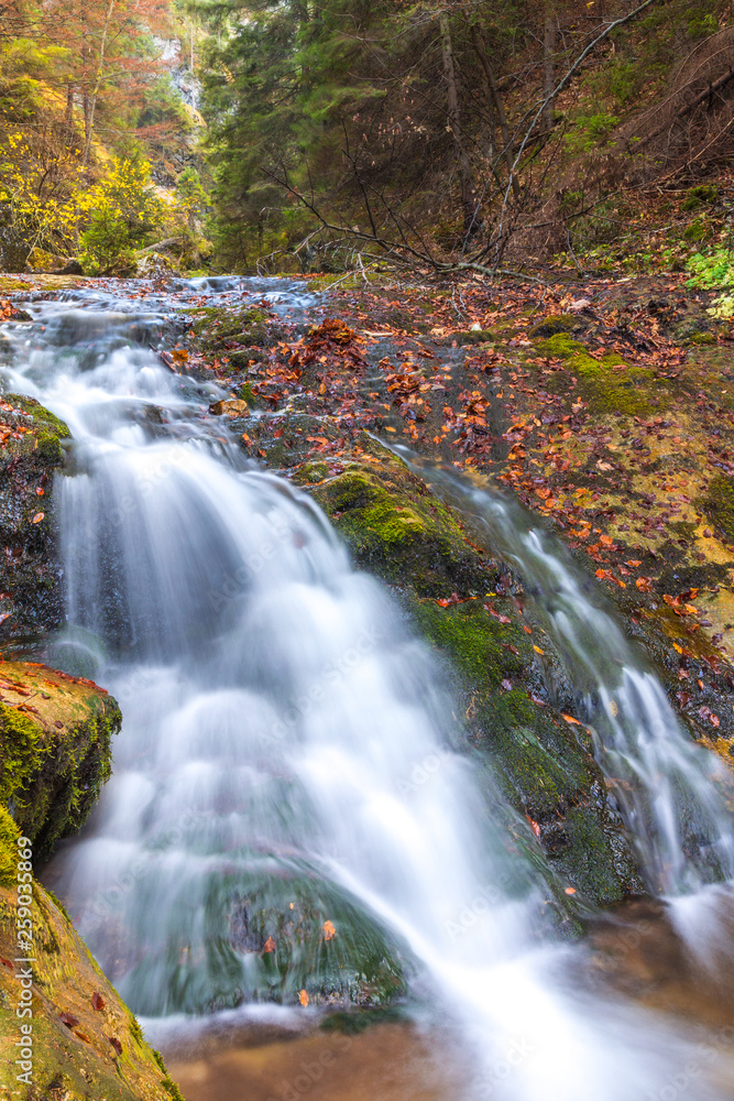 Waterfall in a forest at autumn season. The Mala Fatra National Park ...