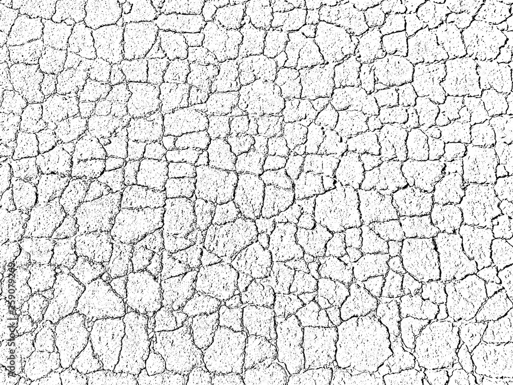 The cracks texture white and black. Vector background.Cracked earth ...