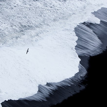 Abstract Bird Art Free Stock Photo - Public Domain Pictures