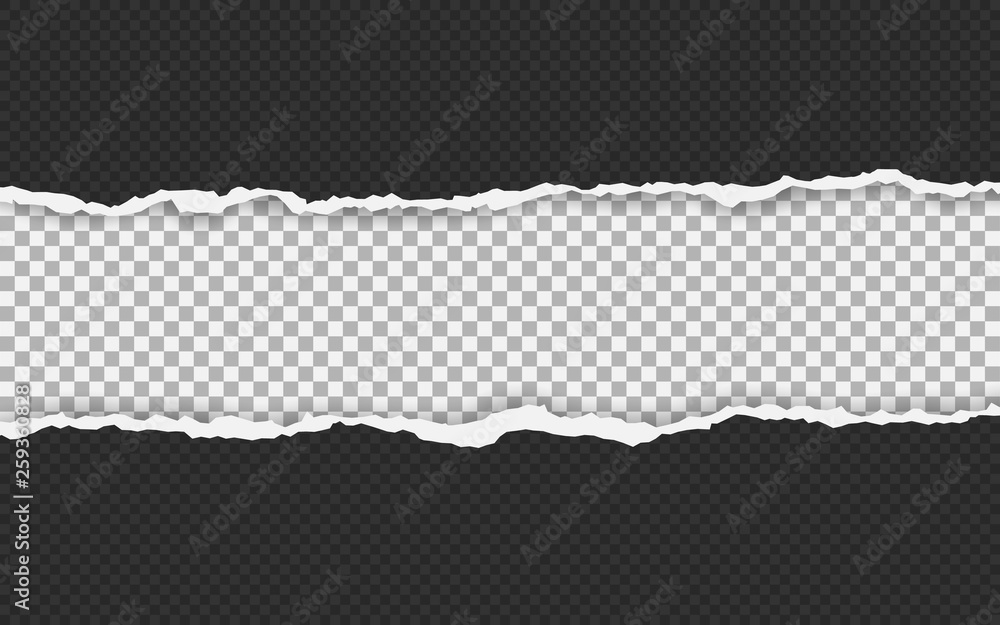 Horizontal torn paper edge. Ripped squared horizontal white paper ...