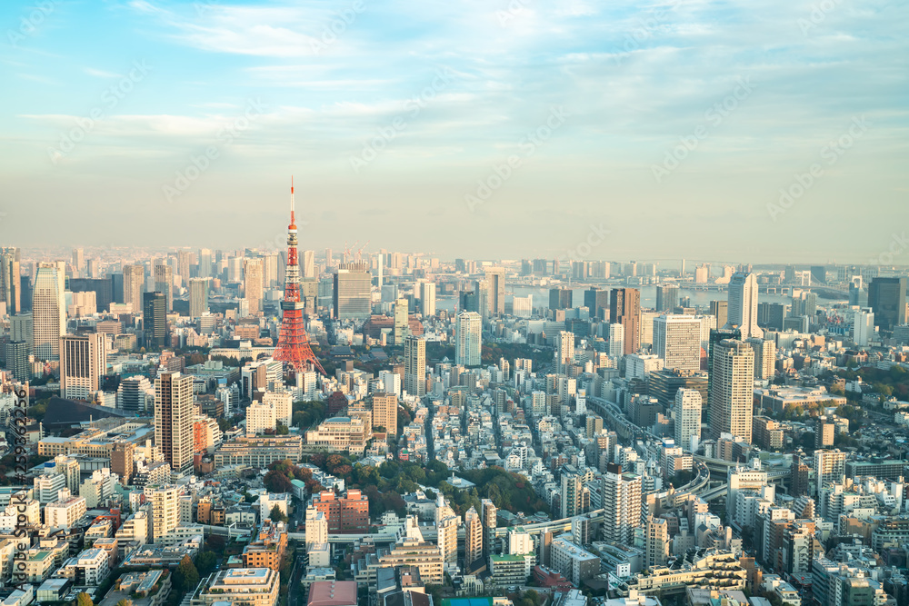 Tokyo Tower, Japan - communication and observation tower. It was the ...