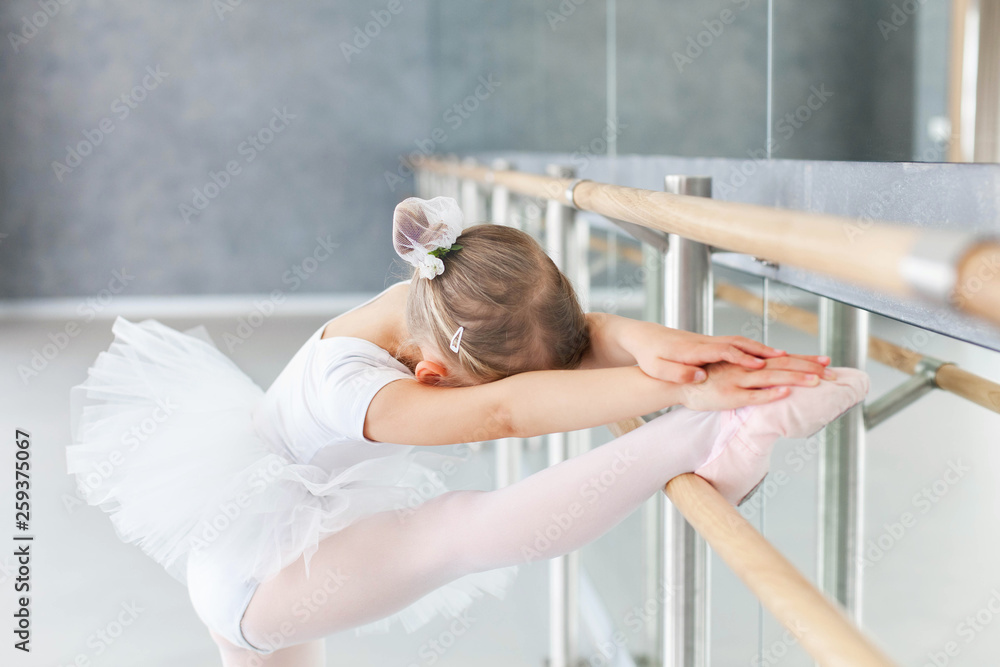 Little ballerina is studying in ballet classical school. Cute child girl is doing stretching ...