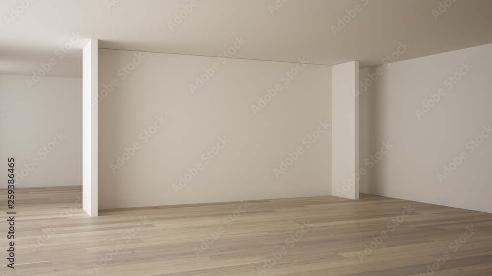 Empty room interior design, open space with white walls, modern style ...