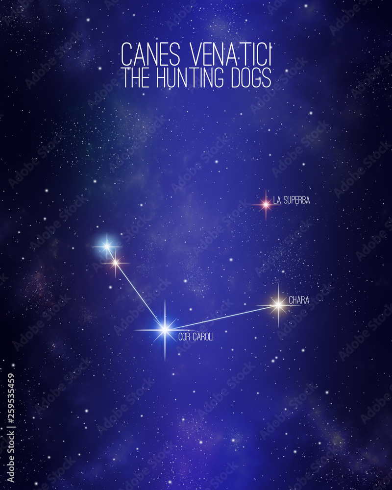 Canes Venatici the hunting dogs constellation on a starry space ...