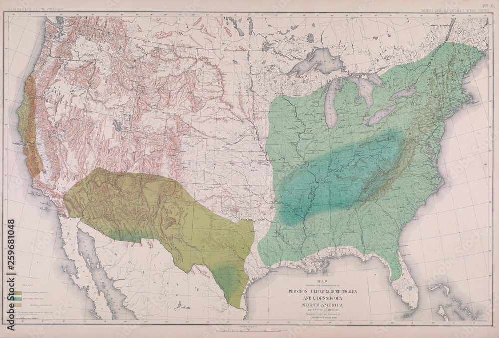 Forest map of America. Stock Illustration | Adobe Stock