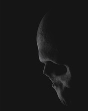 Grey Skull I Free Stock Photo - Public Domain Pictures