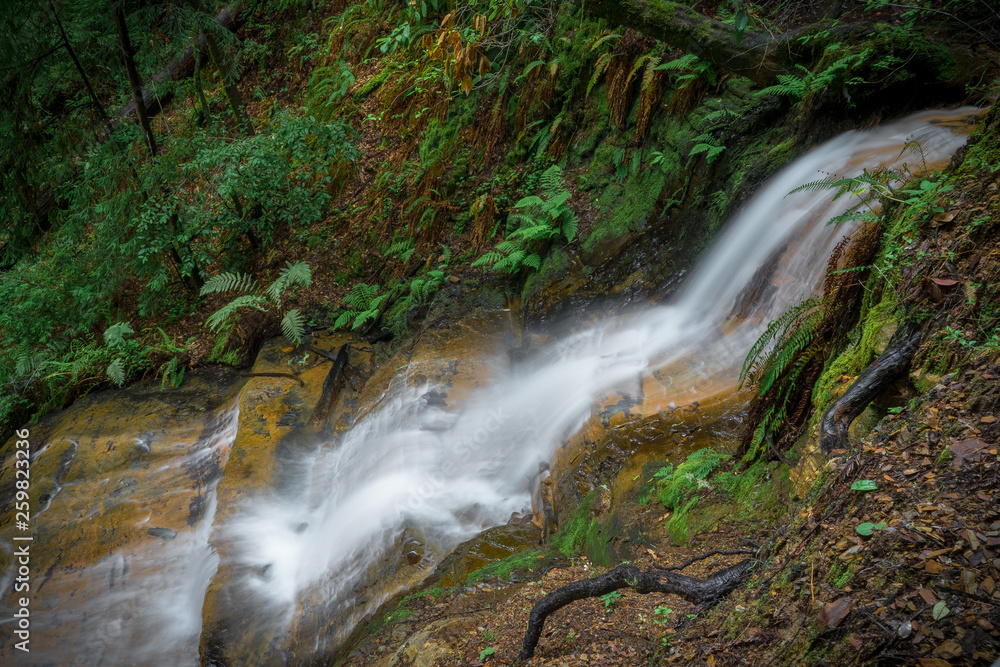 Lower Golden Cascade Falls - Big Basin State Park, Santa Cruz Mountains ...