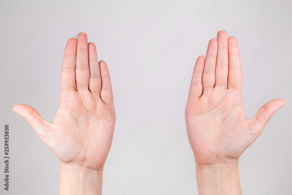 Woman's hands with isolated on white background. Two opened empty human ...
