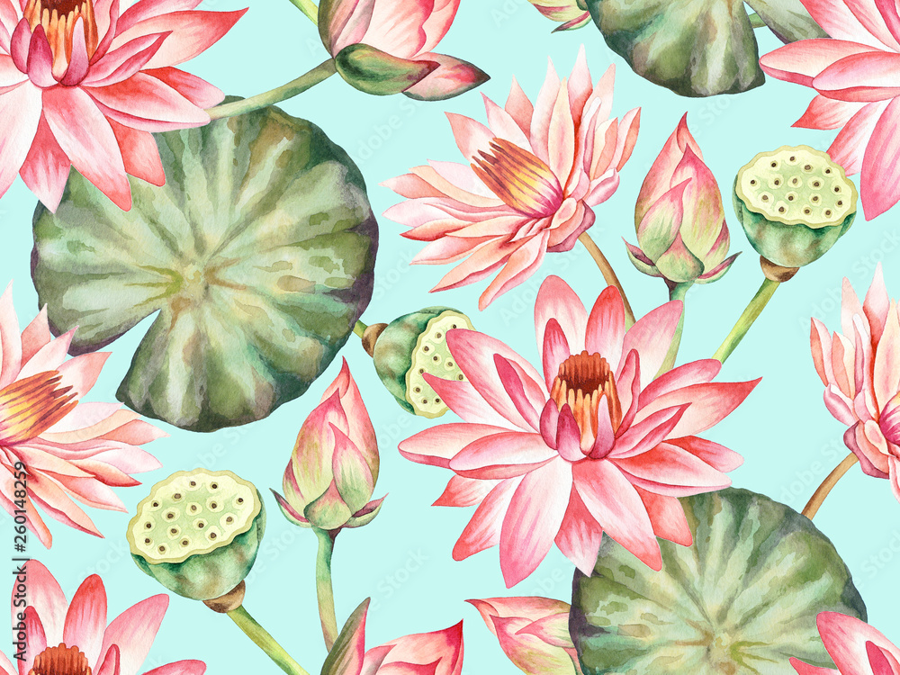 Illustration of watercolor hand drawn pattern of pink lotus flower and ...
