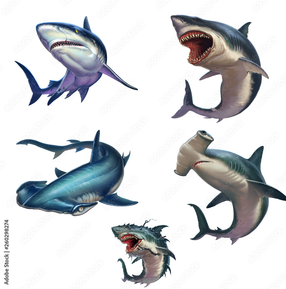 Big set of sharks isolated realistic illustration. Great White Shark ...