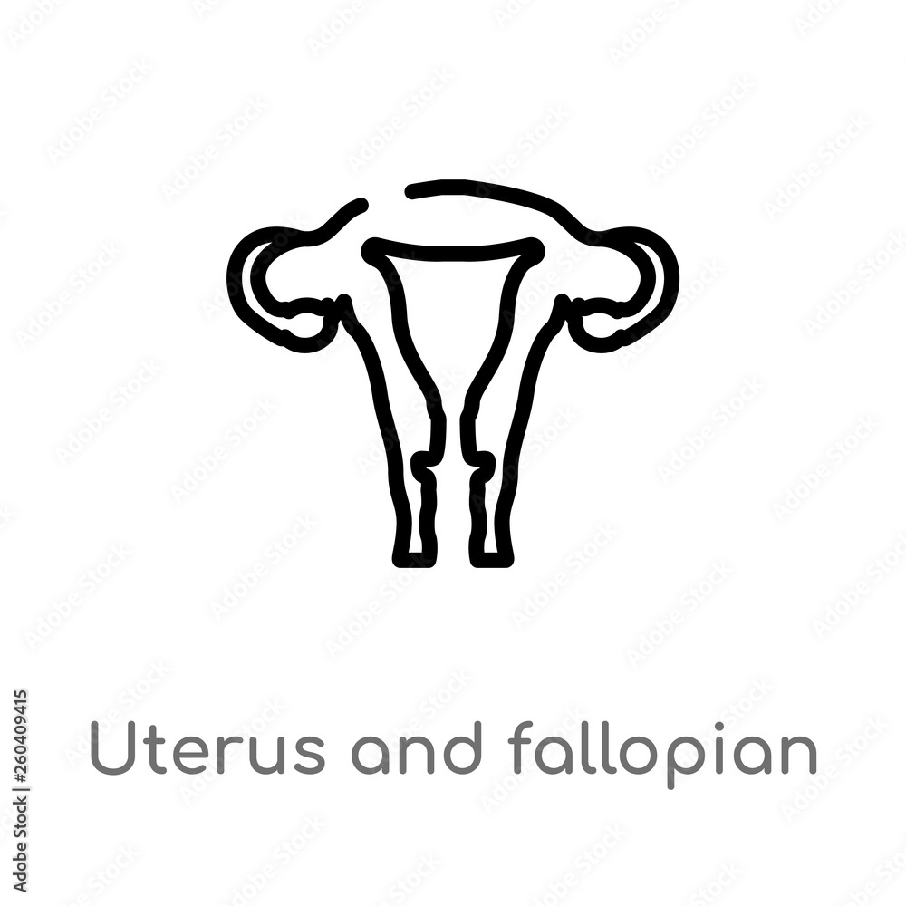 outline uterus and fallopian tube vector icon. isolated black simple ...