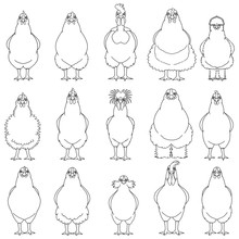 Polish Hen Free Stock Photo - Public Domain Pictures