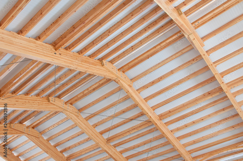 Roof construction of laminated veneer lumber. Building. Glued laminated ...