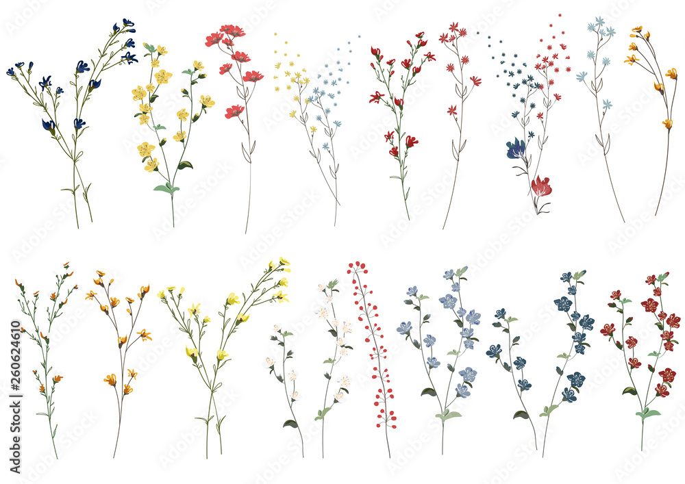 Big set botanic blossom floral elements. Branches, leaves, herbs, wild ...