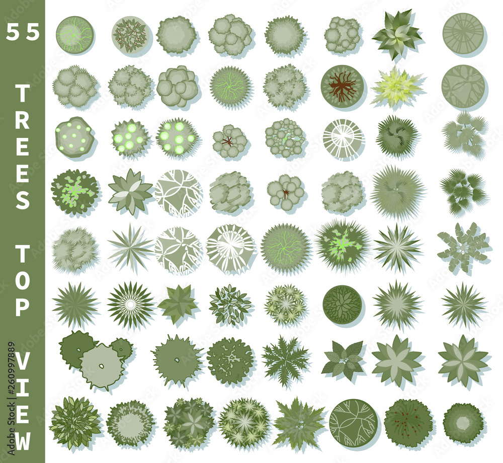 Different trees top view. View from above set for architectural and ...