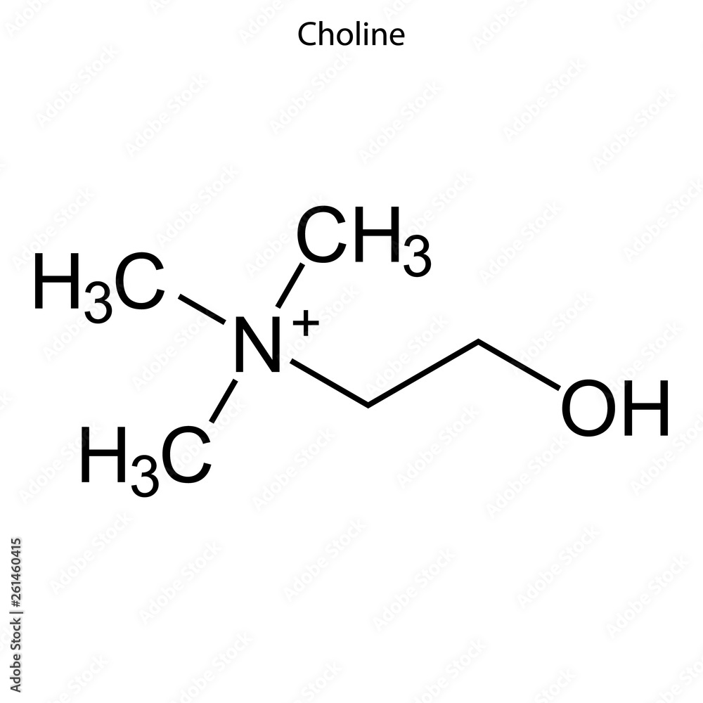 Skeletal formula of chemical molecule. Stock Vector | Adobe Stock
