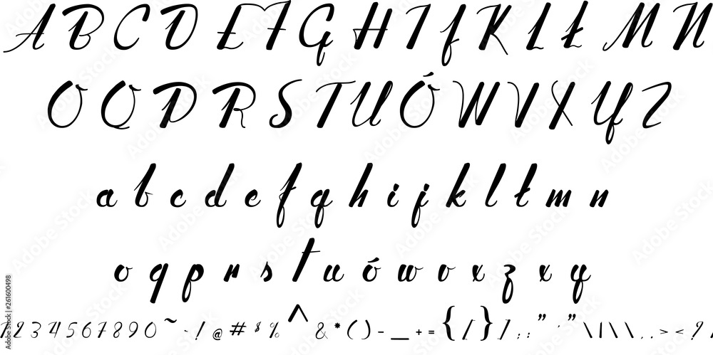 Calligraphic Vintage Handwritten vector Font for Lettering. Trendy ...