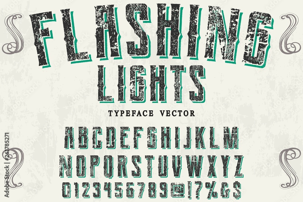 Script Font Typeface vintage script font Vector typeface for labels and ...