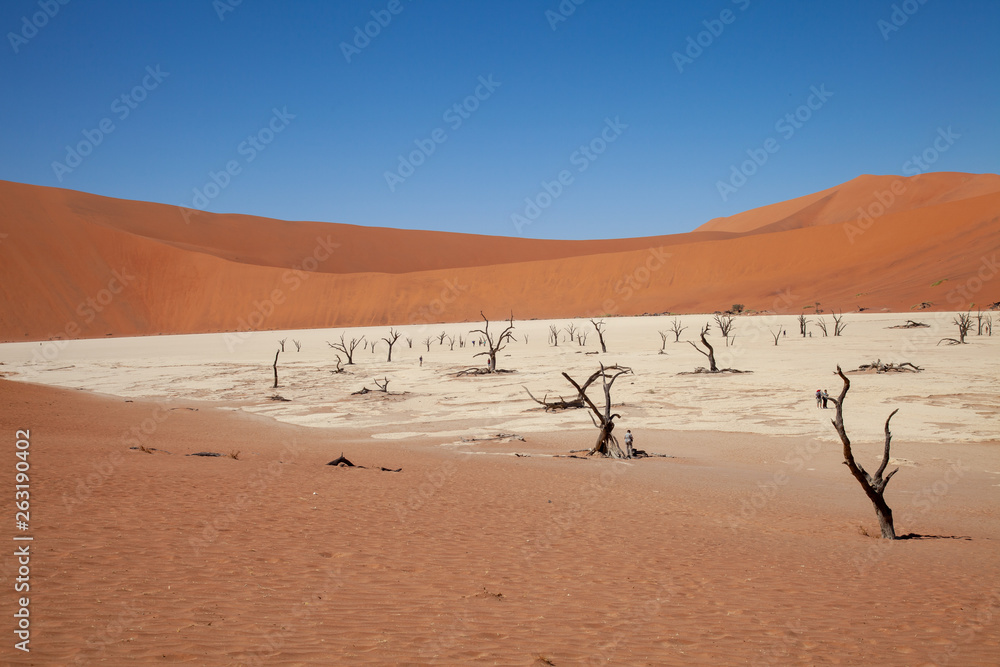 Sossusvlei is a salt and clay pan surrounded by high red dunes national ...