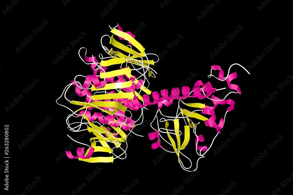 Molecular model of cholera toxin (also known as choleragen) produced by ...