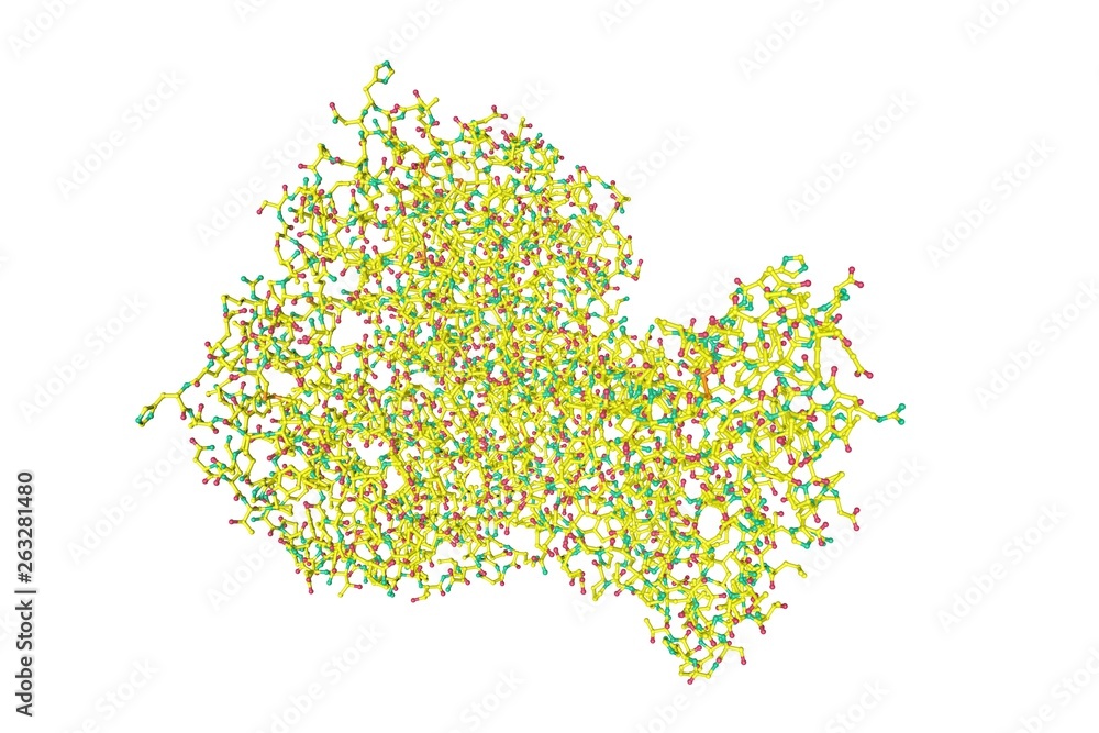 Molecular structure of cholera toxin (also known as choleragen ...